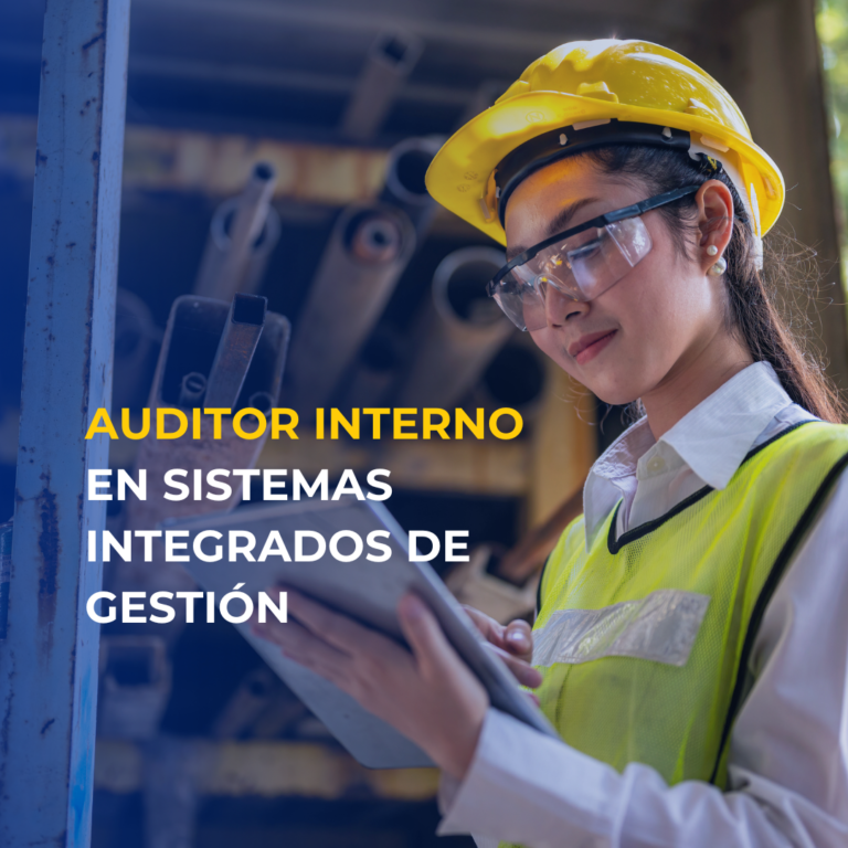 V – SAS – AUDITORÍA INTERNA EN SISTEMAS INTEGRADOS DE GESTIÓN ISO 9001/14001/45001 JUN / 24 ...